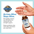 high potency probiotics for digestion