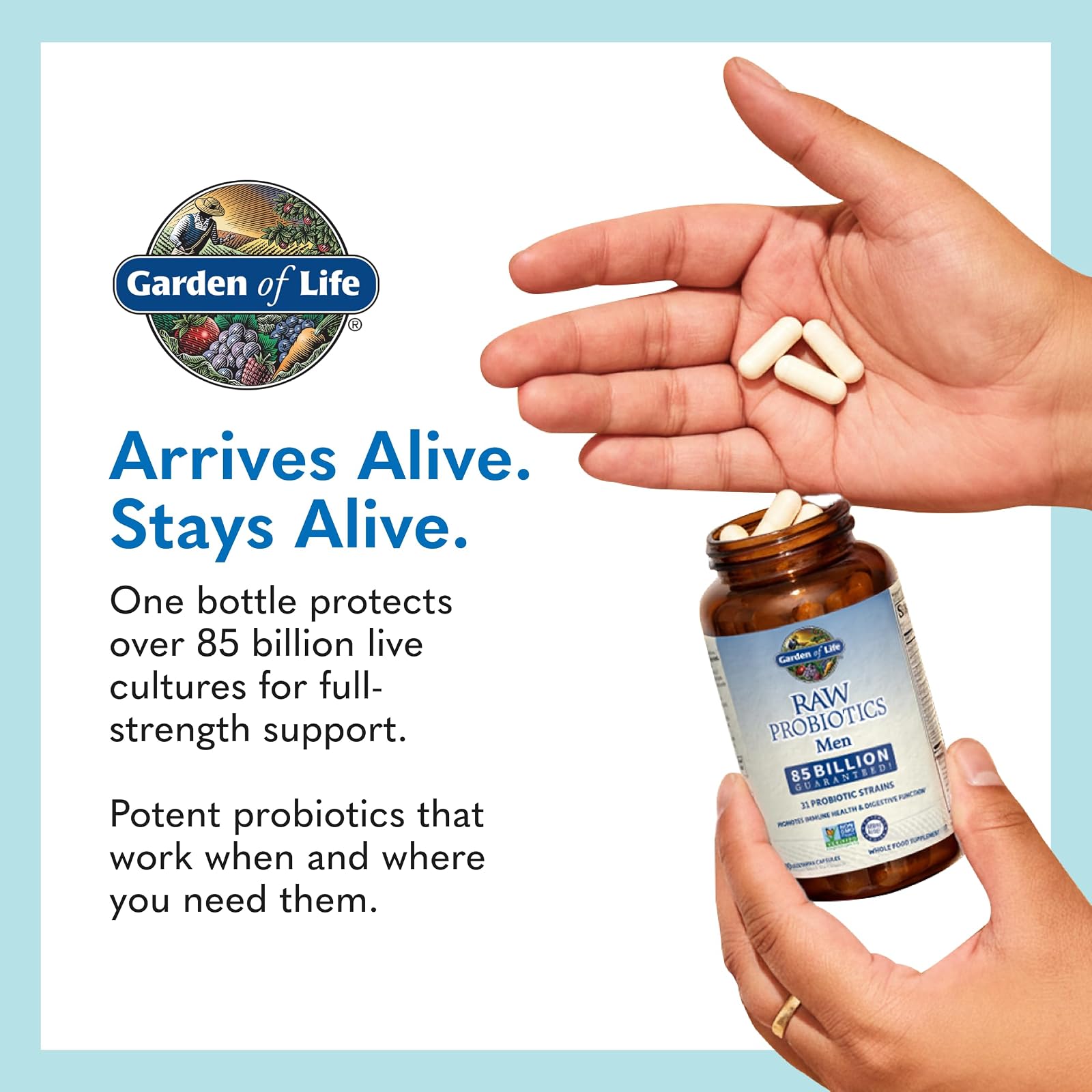 high potency probiotics for digestion