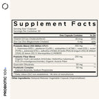 high potency probiotics for digestion