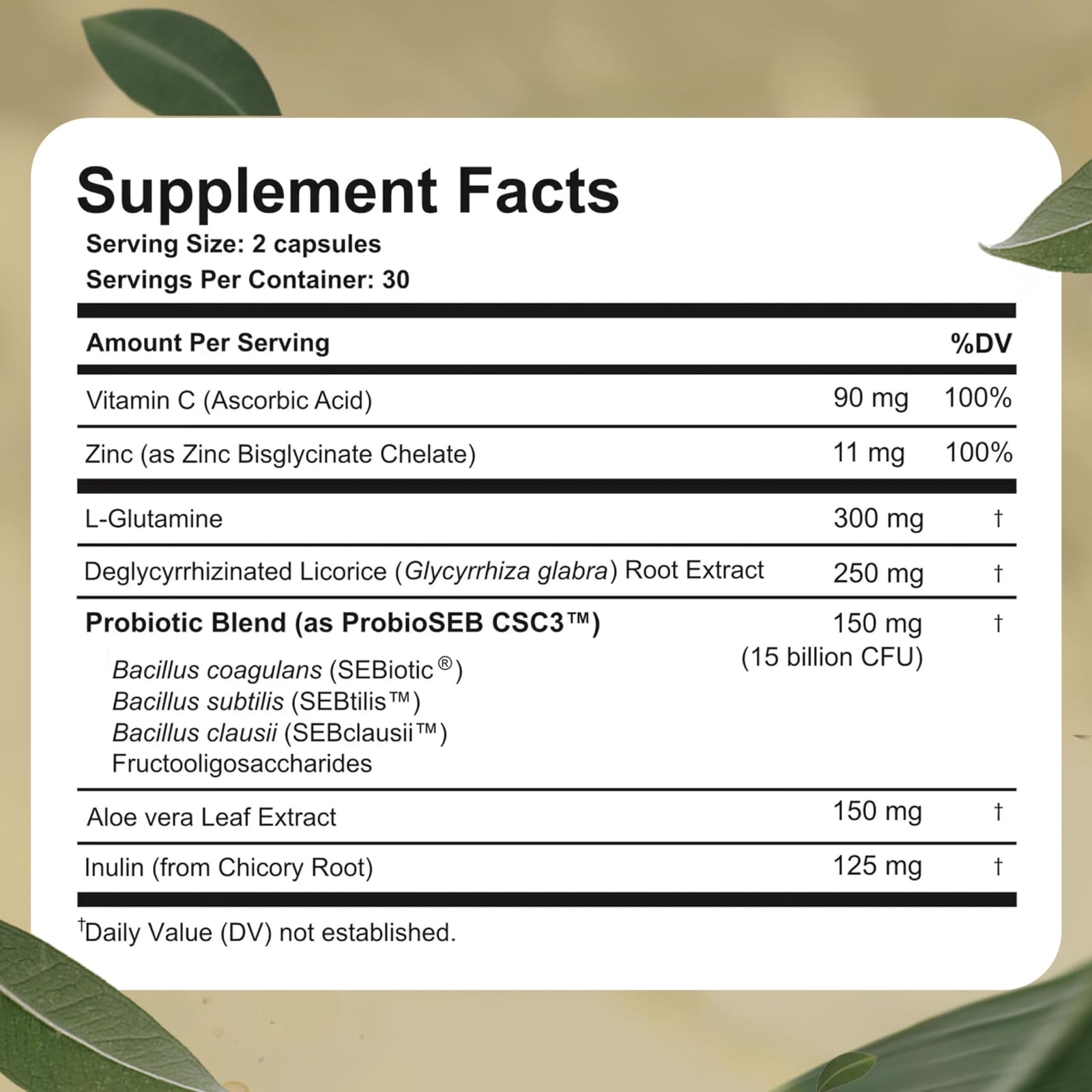 high potency probiotics for digestive balance