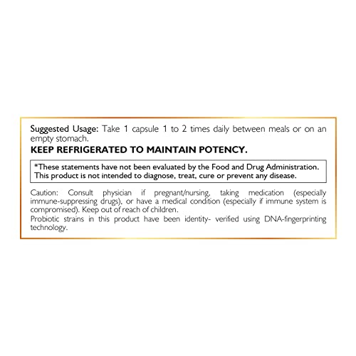 high potency probiotics for digestive balance