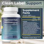 High potency probiotics for digestive balance