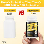 high potency probiotics for digestive health