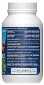 high potency probiotics for digestive health