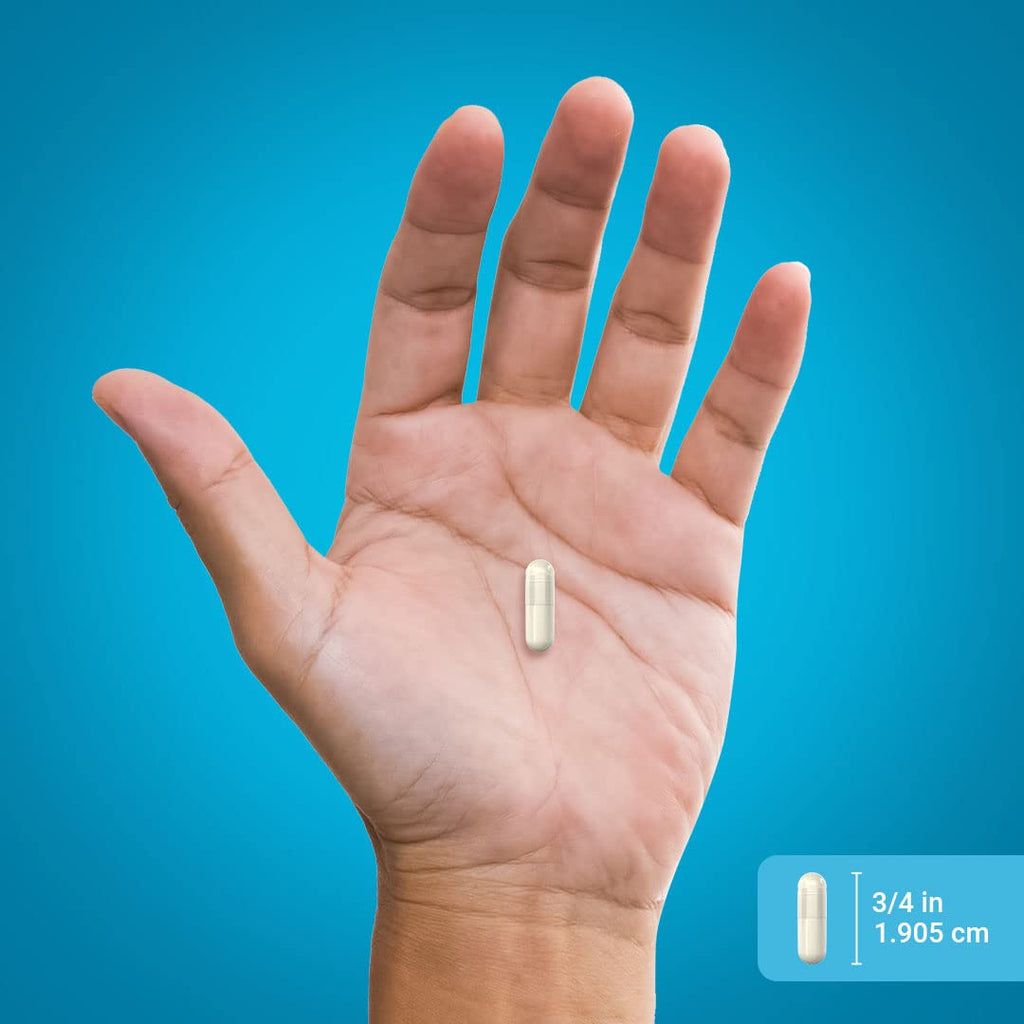 high potency probiotics for gut balance