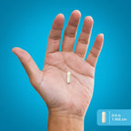 high potency probiotics for gut balance