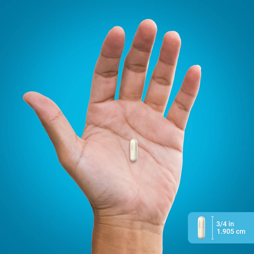 high potency probiotics for gut balance