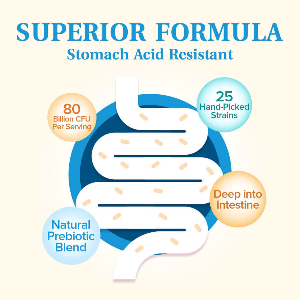 high potency probiotics for gut balance