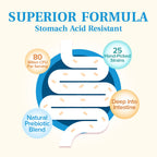 high potency probiotics for gut balance