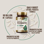 high potency probiotics for gut balance