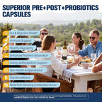 high potency probiotics for gut health