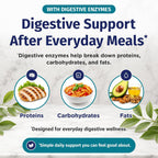 high potency probiotics for gut health