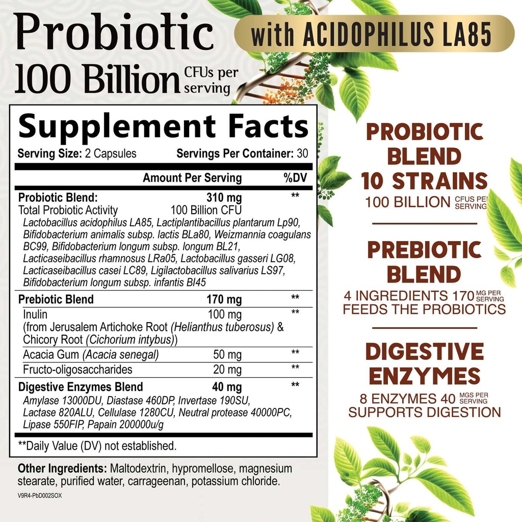 high potency probiotics for gut health