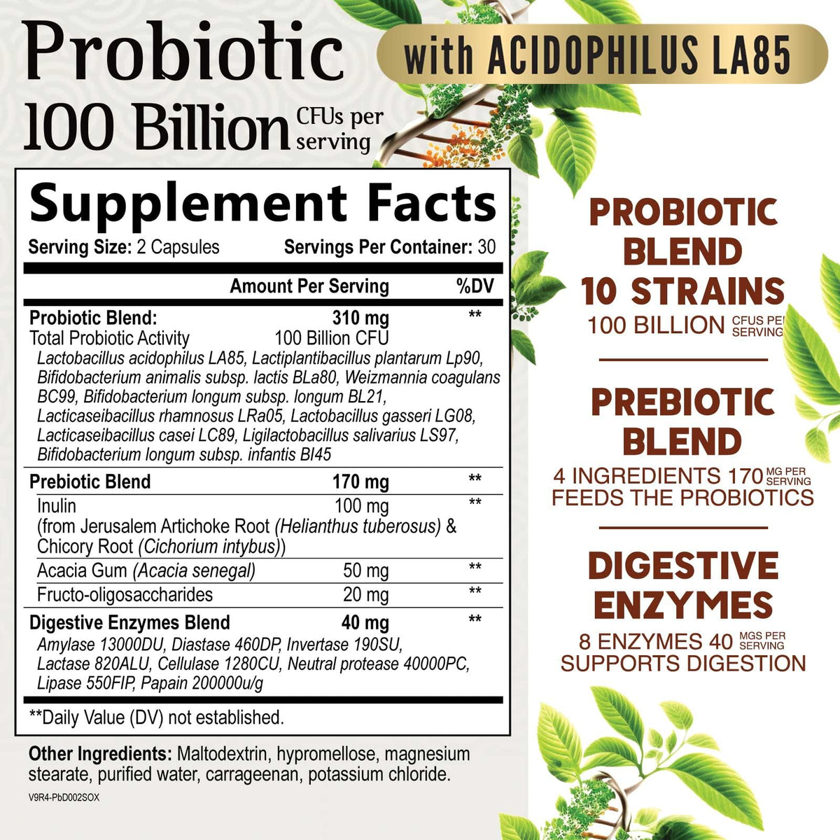 high potency probiotics for gut health