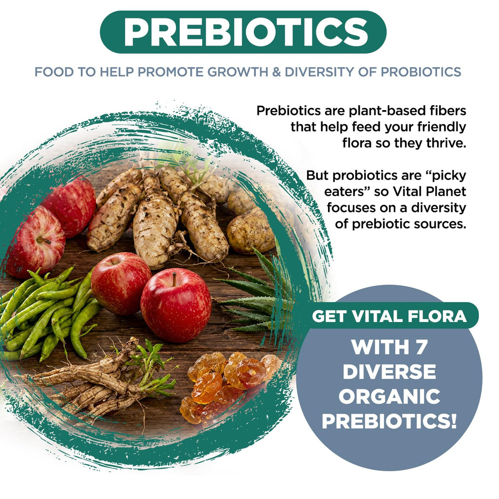 high potency probiotics for immune boost