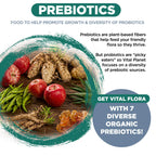 high potency probiotics for immune boost