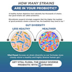 high potency probiotics for immunity
