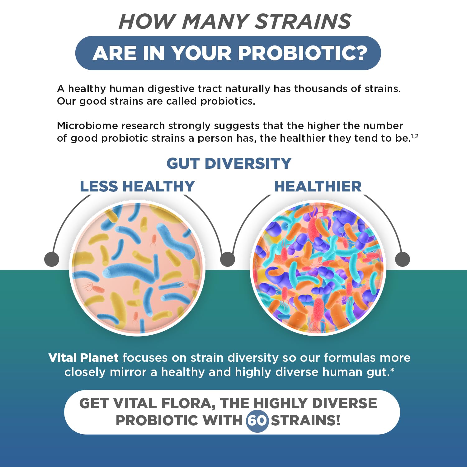 high potency probiotics for immunity