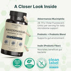 high potency probiotics for men