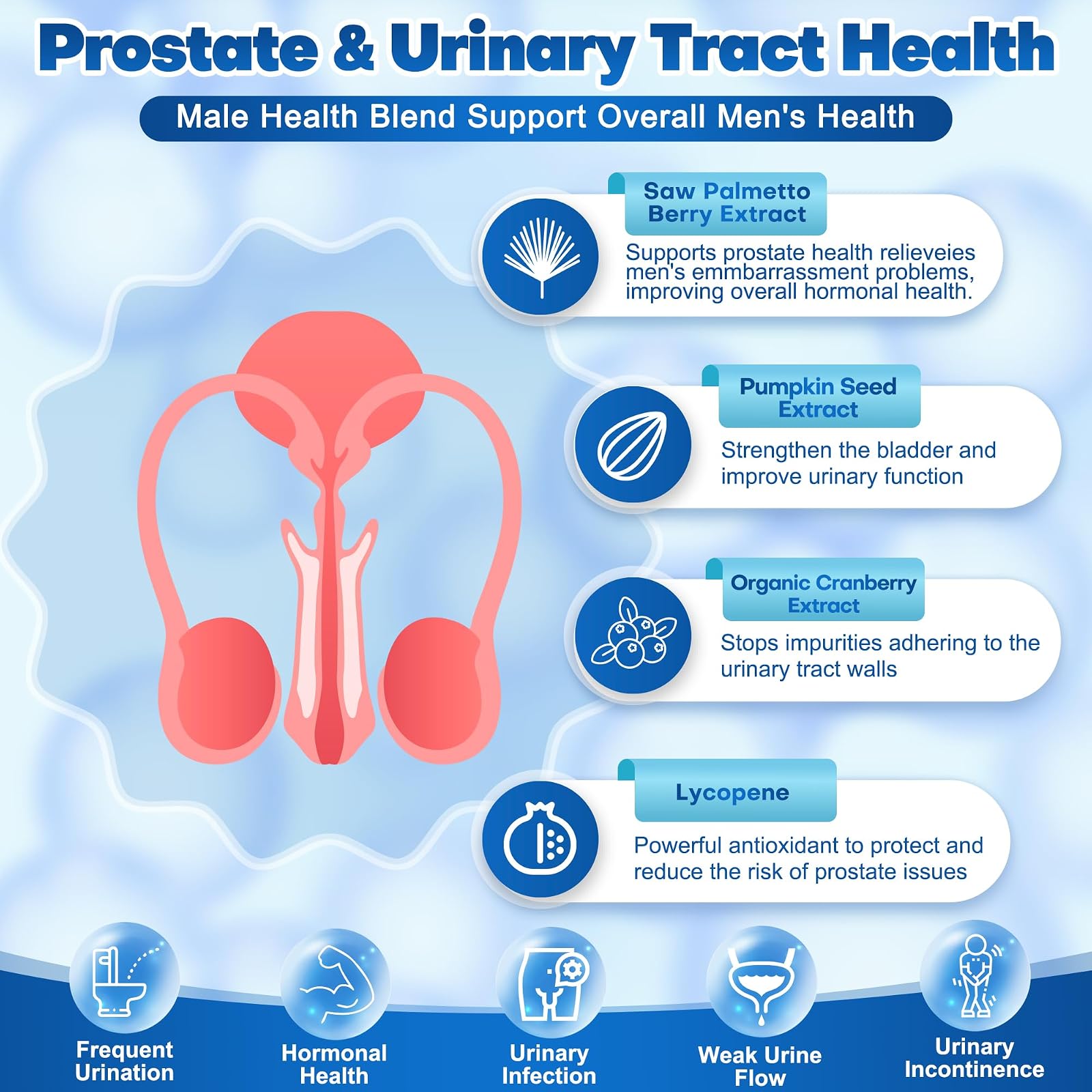 high potency probiotics for men