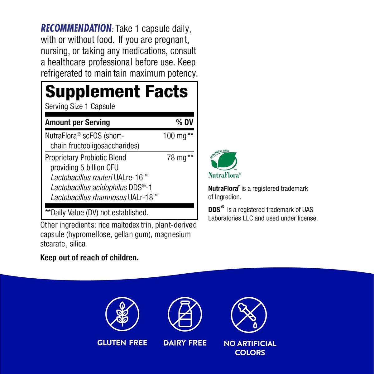 high potency probiotics for men