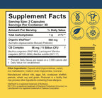 high potency probiotics for optimal digestion
