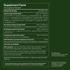 high potency probiotics for optimal health