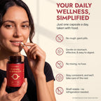 high potency probiotics for overall health
