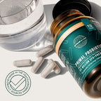 high potency probiotics for overall vitality