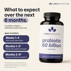 high potency probiotics for overall wellness