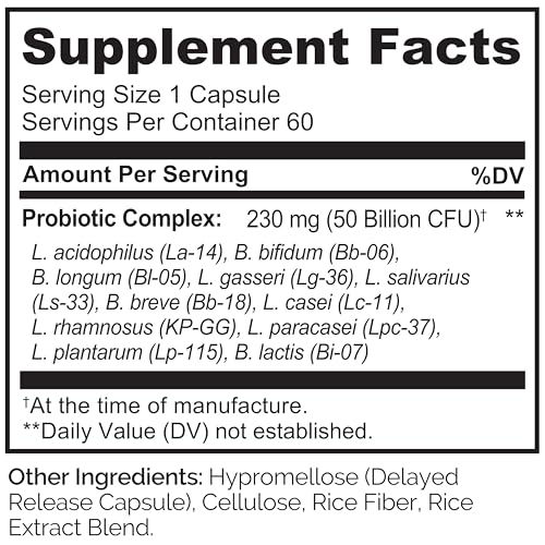 high potency probiotics for overall wellness