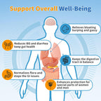 high potency probiotics for overall wellness