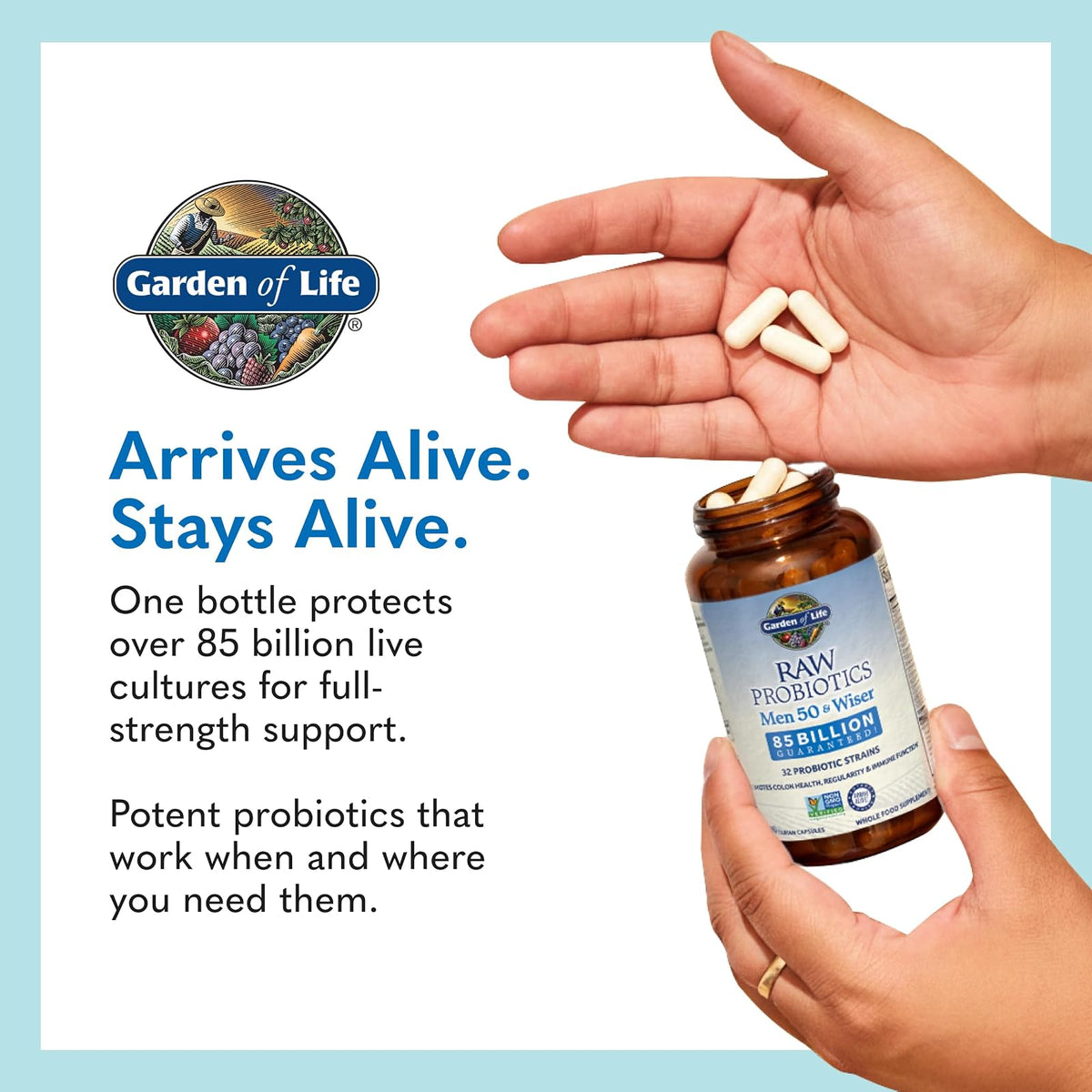 high potency probiotics for seniors