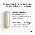 high potency probiotics for wellness