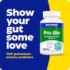 high potency probiotics for women