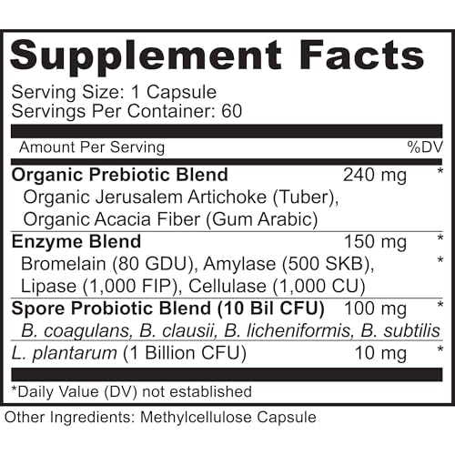 high potency probiotics for women