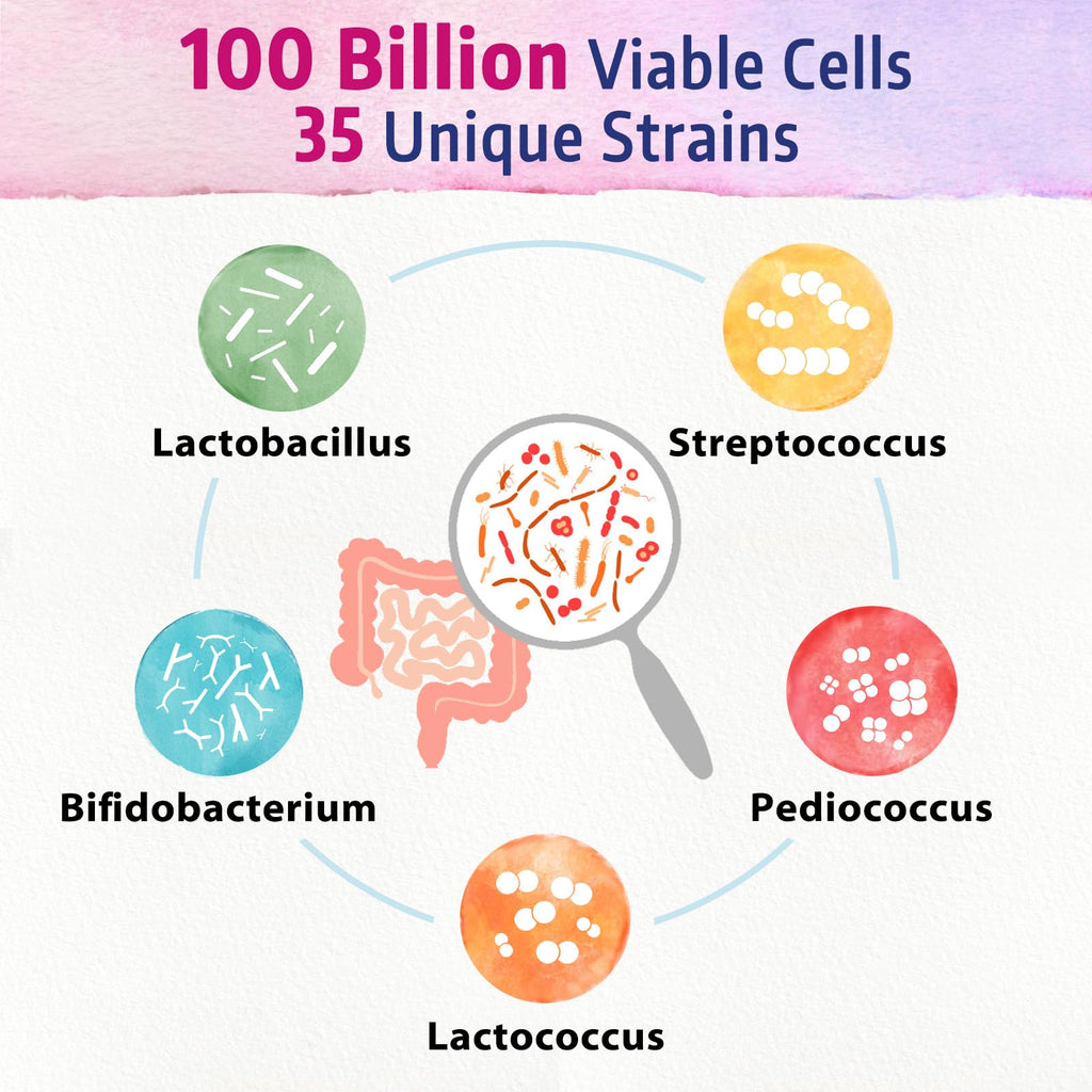 high potency probiotics for women