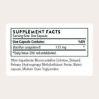high potency probiotics for women