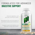 high potency probiotics for women