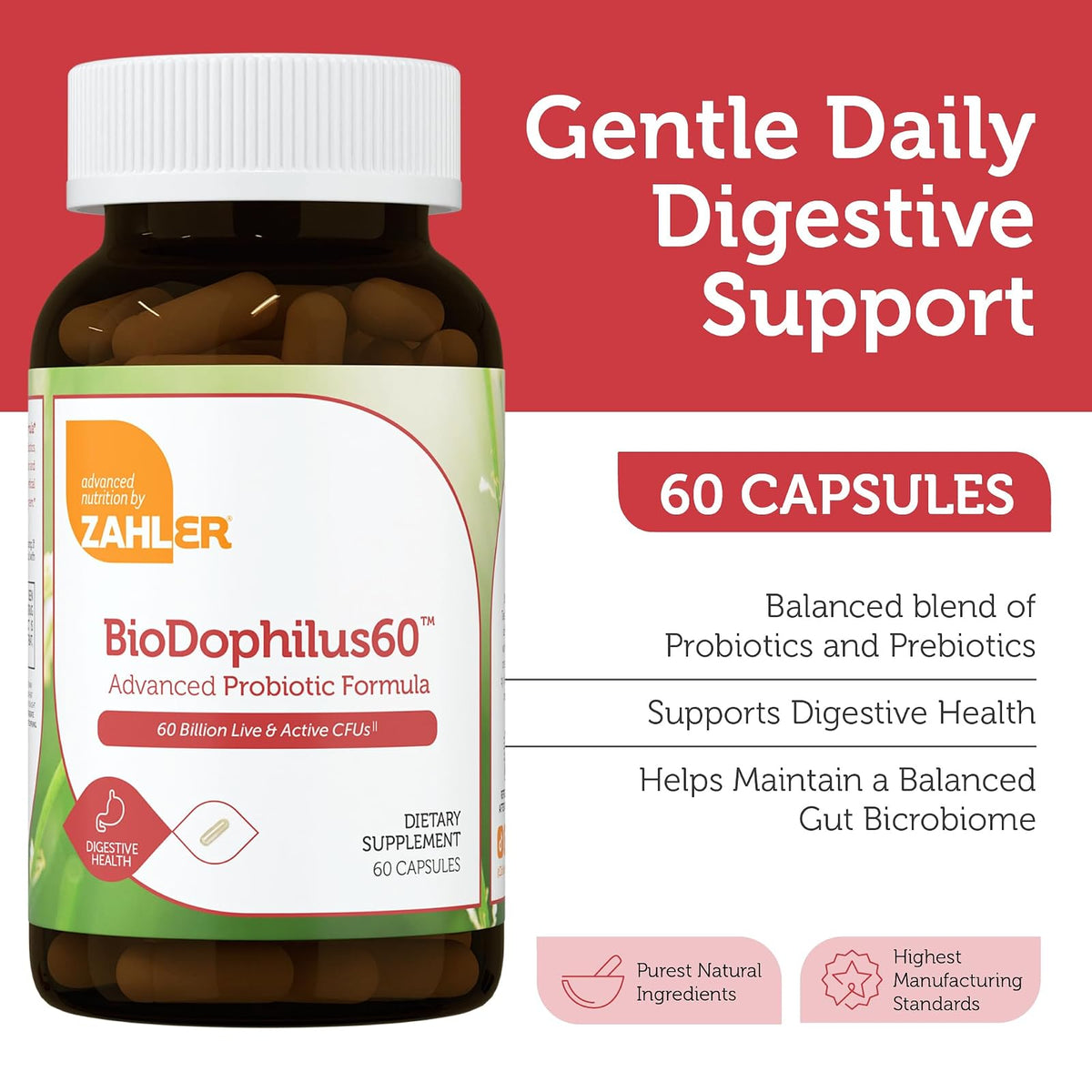 high potency probiotics for women