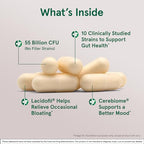 high potency probiotics for women