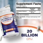high potency probiotics for women