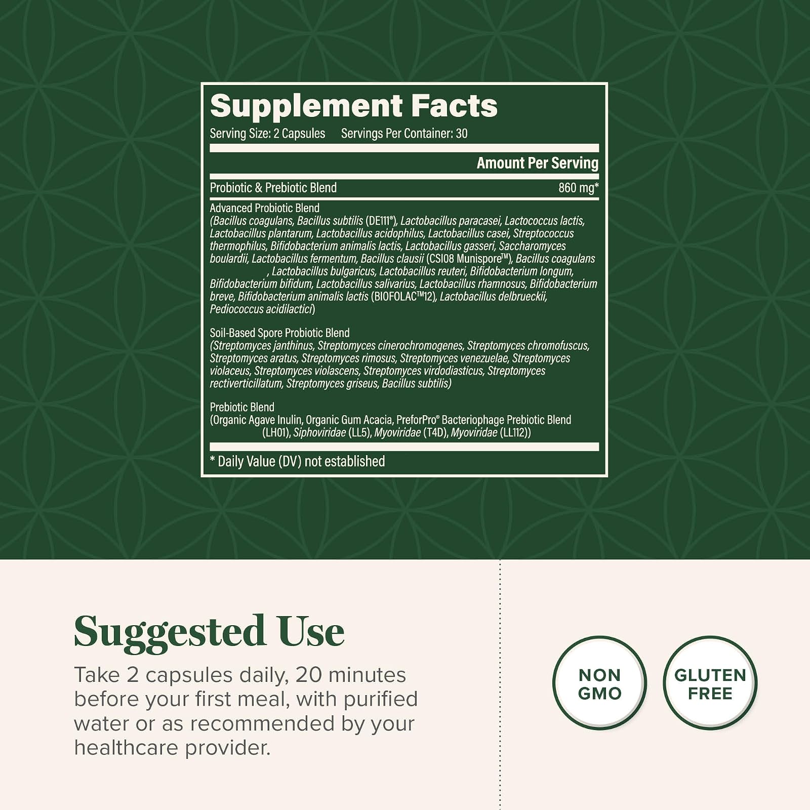 high potency probiotics for women