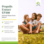 High potency propolis extract