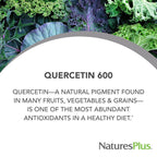 high potency quercetin for allergy relief