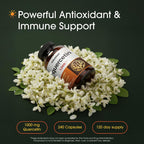 high potency quercetin supplement Canada