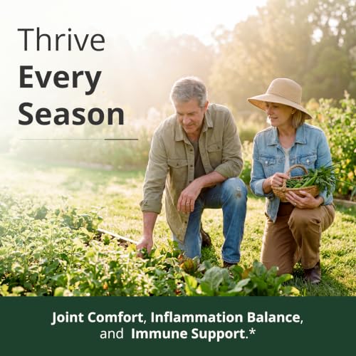 high potency quercetin with bromelain