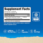 high potency reishi mushroom capsules