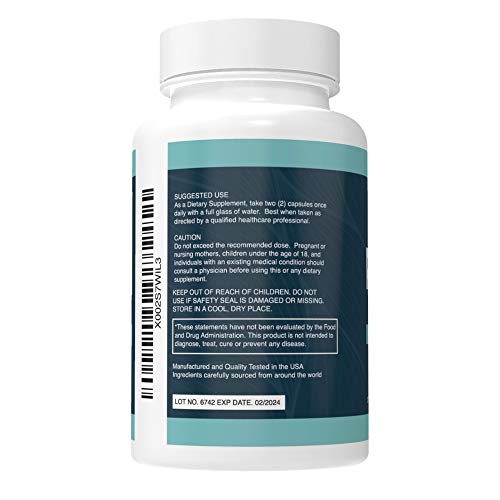 High potency reishi mushroom extract capsules