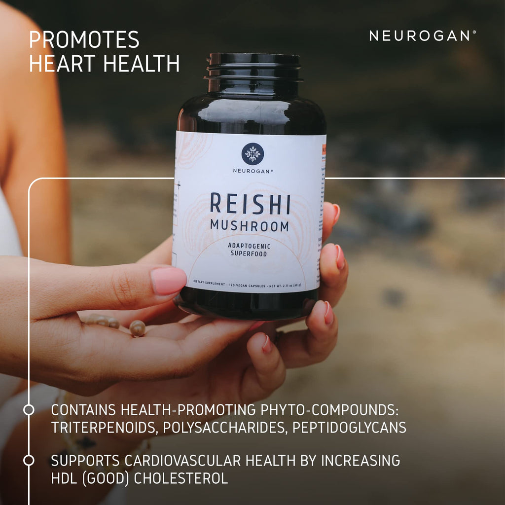High potency reishi mushroom extract